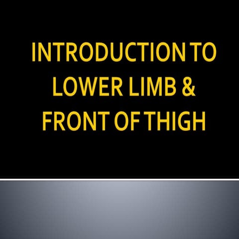 surface marking of lower limb.pptx