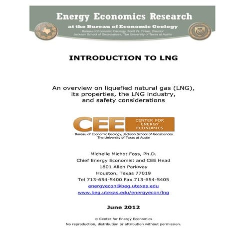 What is NATURAL GAS ,LNG,LPG CNG,PNG ? | PPTX