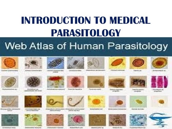 Parasitology | PPT