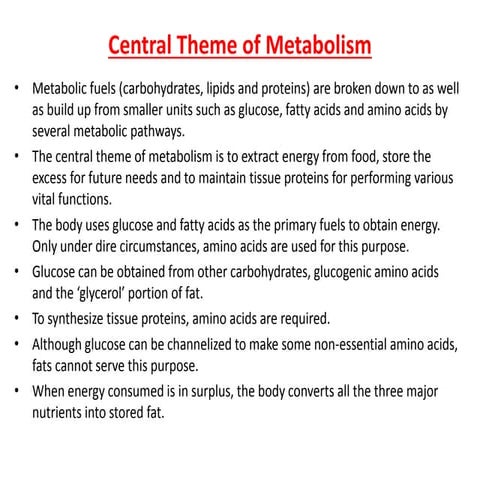 Introduction to metabolism | PPT