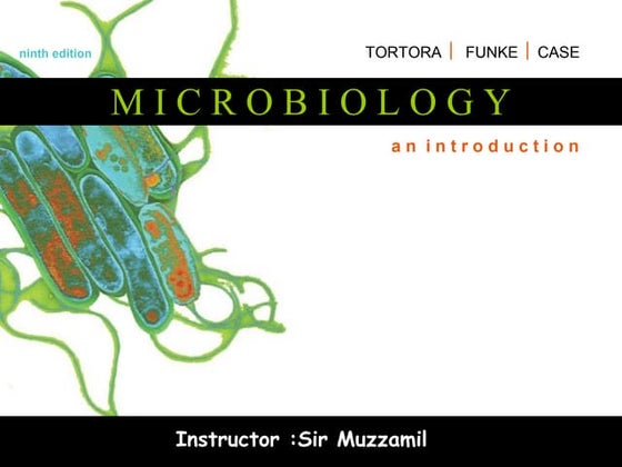 Intro to Micro.ppt