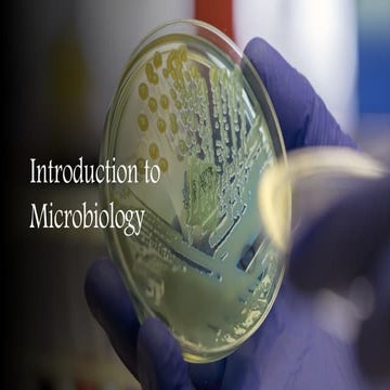 Introduction to Microbiology.pptx for bsc | PPTX