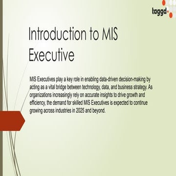 MIS Executive Overview: Key Responsibilities and Career Insights | PPTX