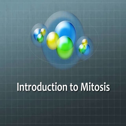Introduction to Mitosis | PPTX