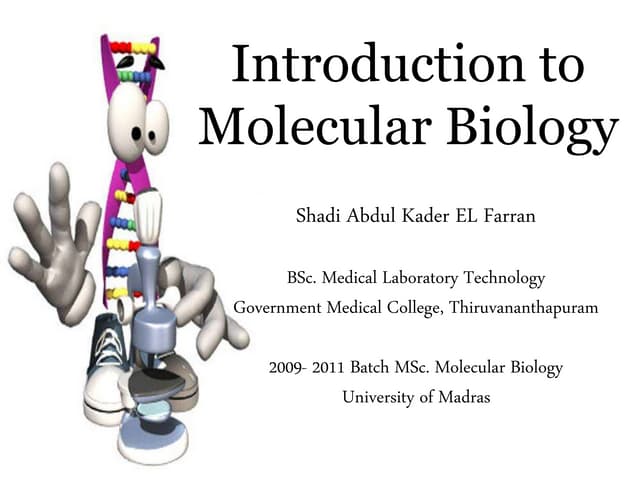 Molecular biology introduction | PPTX