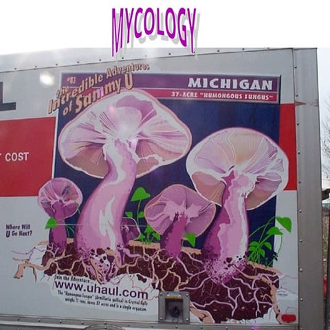Nerve Supply of female genital tract edited.pptx