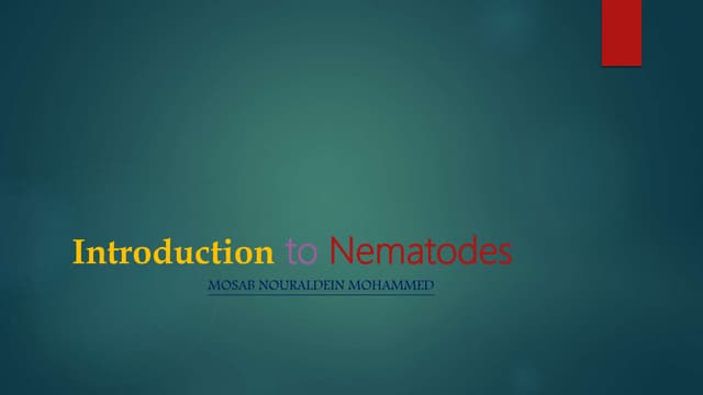Morphology of nematodes | PPTX