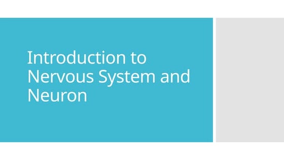 Peripheral Nervous System | PPT