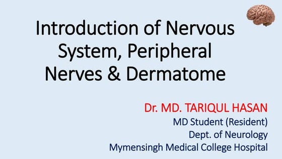 Peripheral Nervous System_By_Raju Yadav.pdf