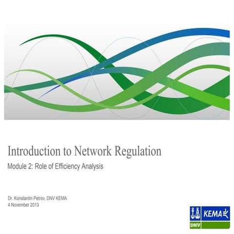 Introduction to network regulation - Role of Efficiency Analysis | PDF