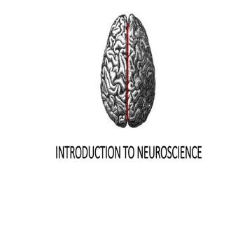 INTRODUCTION TO NEUROSCIENCE-PART 1.pptx | Brain and Nervous System Disorders | Diseases and ...