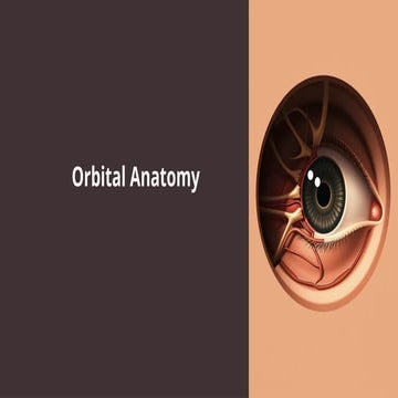Introduction to Orbital Anatomy Ear Nose and Throat | PPTX