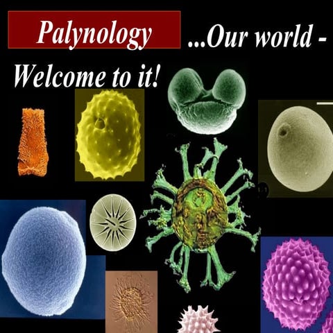 Introduction to Palynology geology ppt slide | PPT