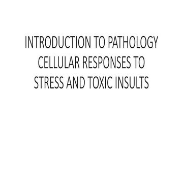 INTRODUCTION TO PATHOLOGY CELLULAR RESPONSES TO STRESS AND TOXIC ...