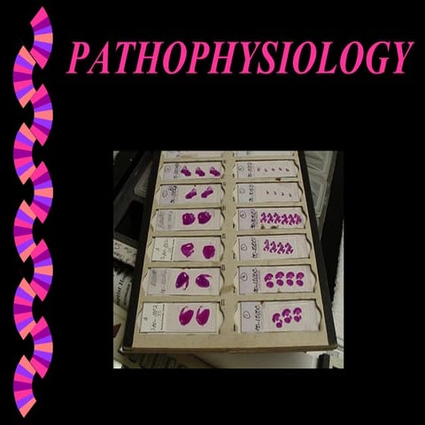 Introduction to pathophysiology | PPT
