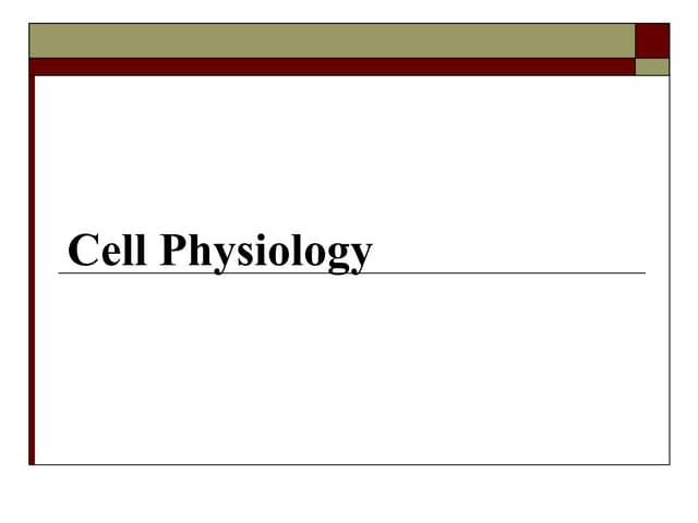 Introduction to human physiology | PDF