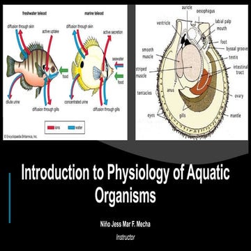 Introduction to Physiology of Aquatic Organisms.pptx