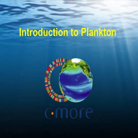 Introduction_to_Plankton_2011_Present.pptx