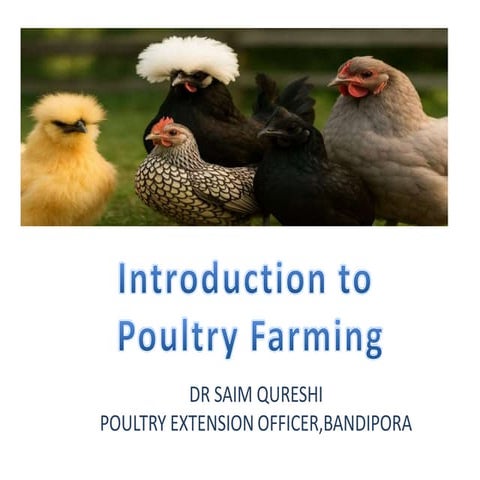 Introduction to Poultry Farming for younf Poultry entrepreneurs to ...
