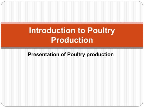 Philippine Native Chicken: The BANABA NATIVE CHICKEN of CALABARZON | DOCX