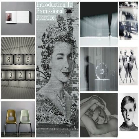 Introduction To Professional Practice | PPT