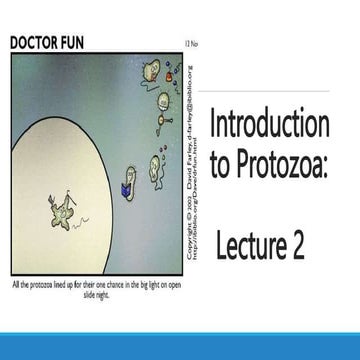 Introduction to protozoa, biology, control | PPT