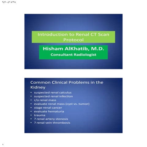 Introduction to renal ct scan | PDF