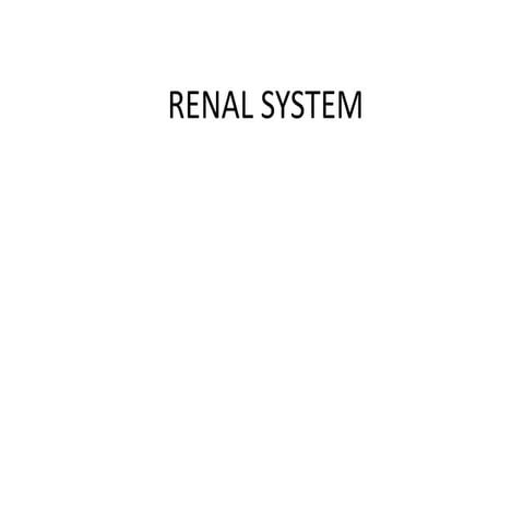 introduction to renal system.pptx | Chemistry | Science