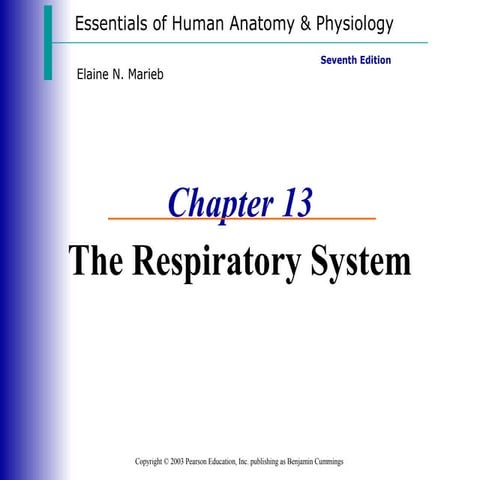 Introduction to respiratory system | PPT