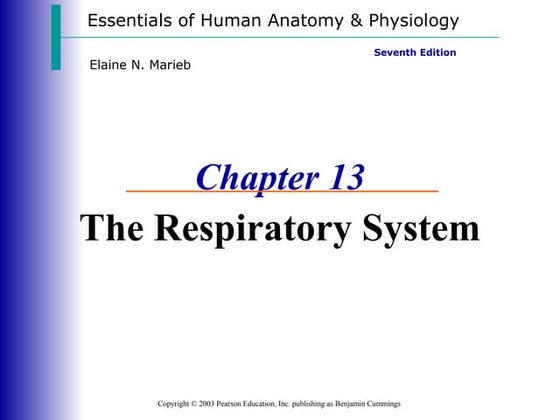Respiratory System | PPT