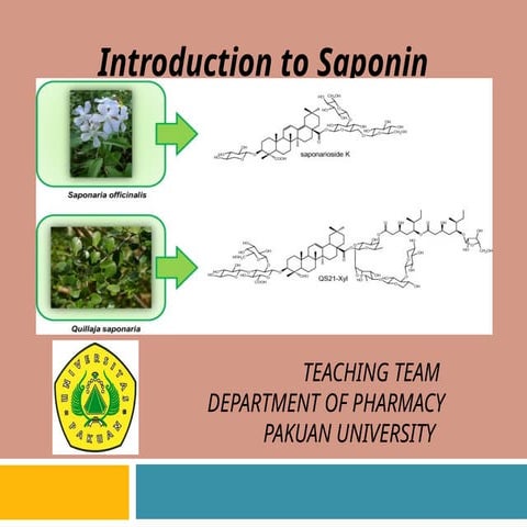 INTRODUCTION and identification SAPONIN.pptx