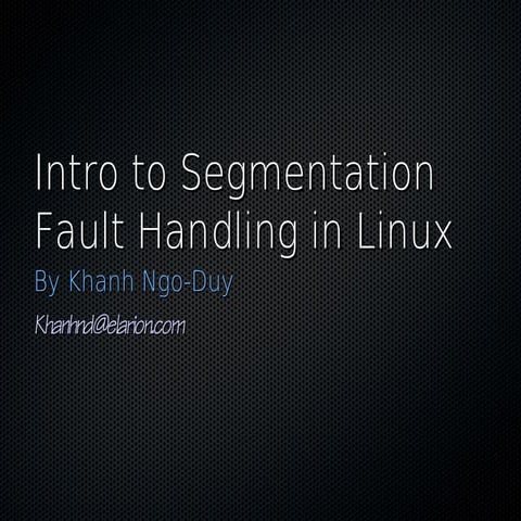 Introduction To Segmentation Fault Handling Pdf Operating Systems