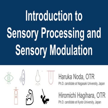 Introduction to sensory processing and sensory modulation | PDF