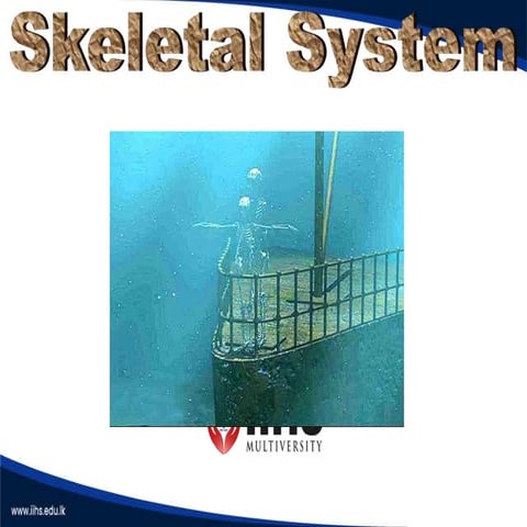 Skeletal System Ppt