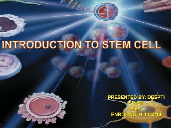 Introduction to stem cells | PPTX | Biological Sciences | Science