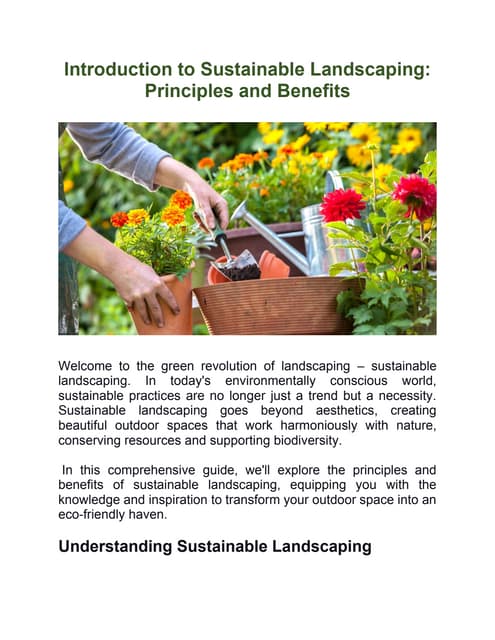 ENVIRONMENTAL STEWARDSHIP (Power Point Presentation).pptx