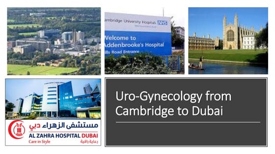 The Al Zahra Hospital Urogynecology & Pelvic Floor Disorders Unit | PDF