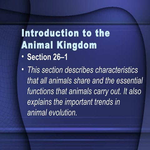 Introduction to the animal kingdom | PPT