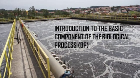 PFD analysis on the relevant process flow.pptx