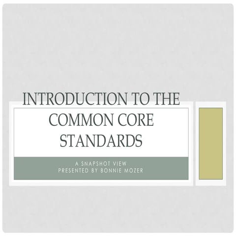 Seeing in Contexts Powerpoint | PPTX