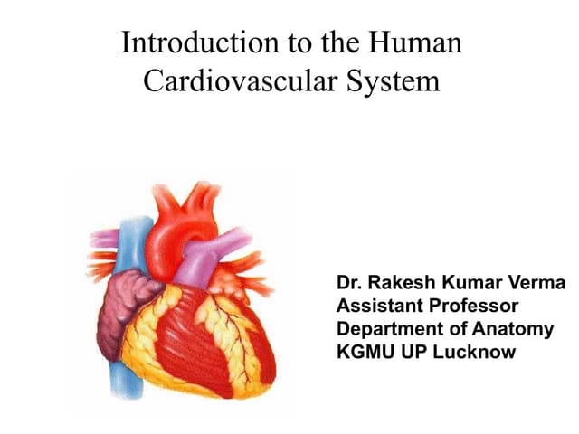 ppt on human circulatory system | PPT
