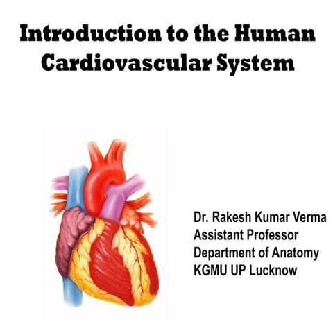 Introduction to Human Circulatory system | PPT