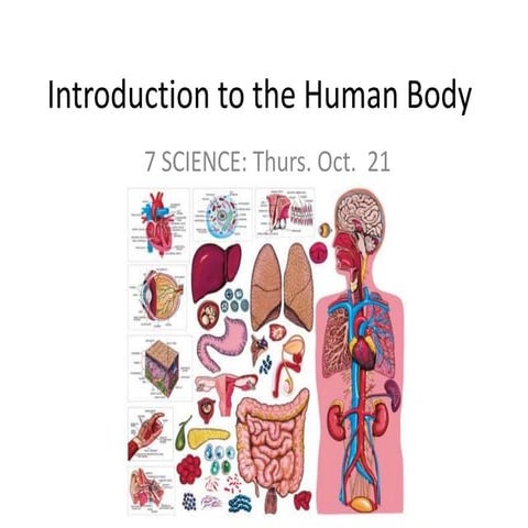 Introduction to the human body | PPTX