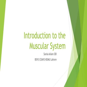 Introduction to the muscular system | PPTX