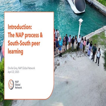 Introduction to the NAP process and South-South Peer Learning | PDF