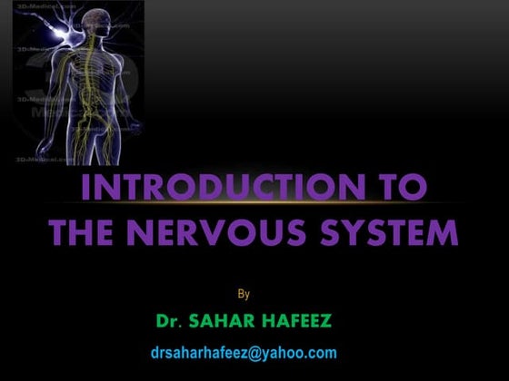 The Nervous System (Slide Show) | PPT