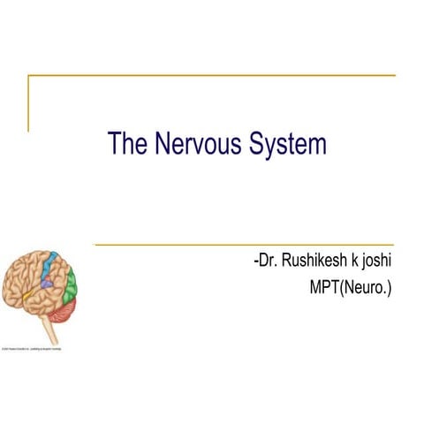 Introduction to the nervous system | PPT
