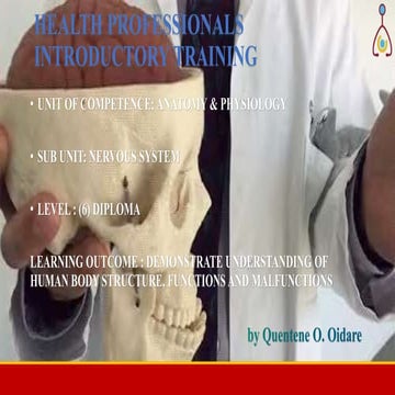 Introduction to the Nervous System.pptx