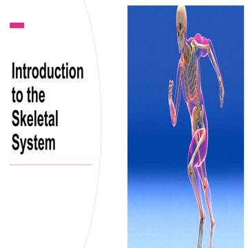 Introduction to the Skeletal System.pptx | Death, Injury, or Military ...
