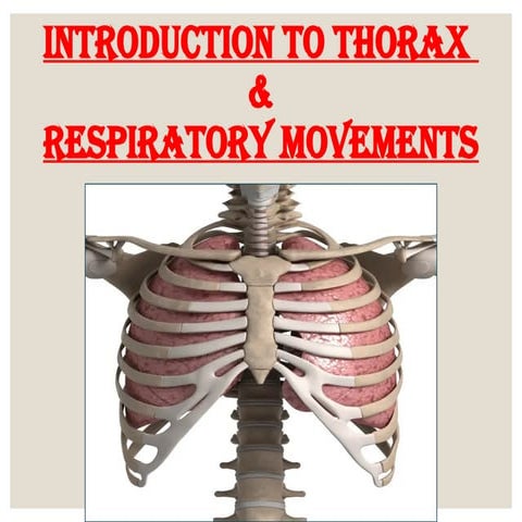 Muscles of respiration Dr. MADHUKIRAN, MD.PULMONOLOGY | PPTX